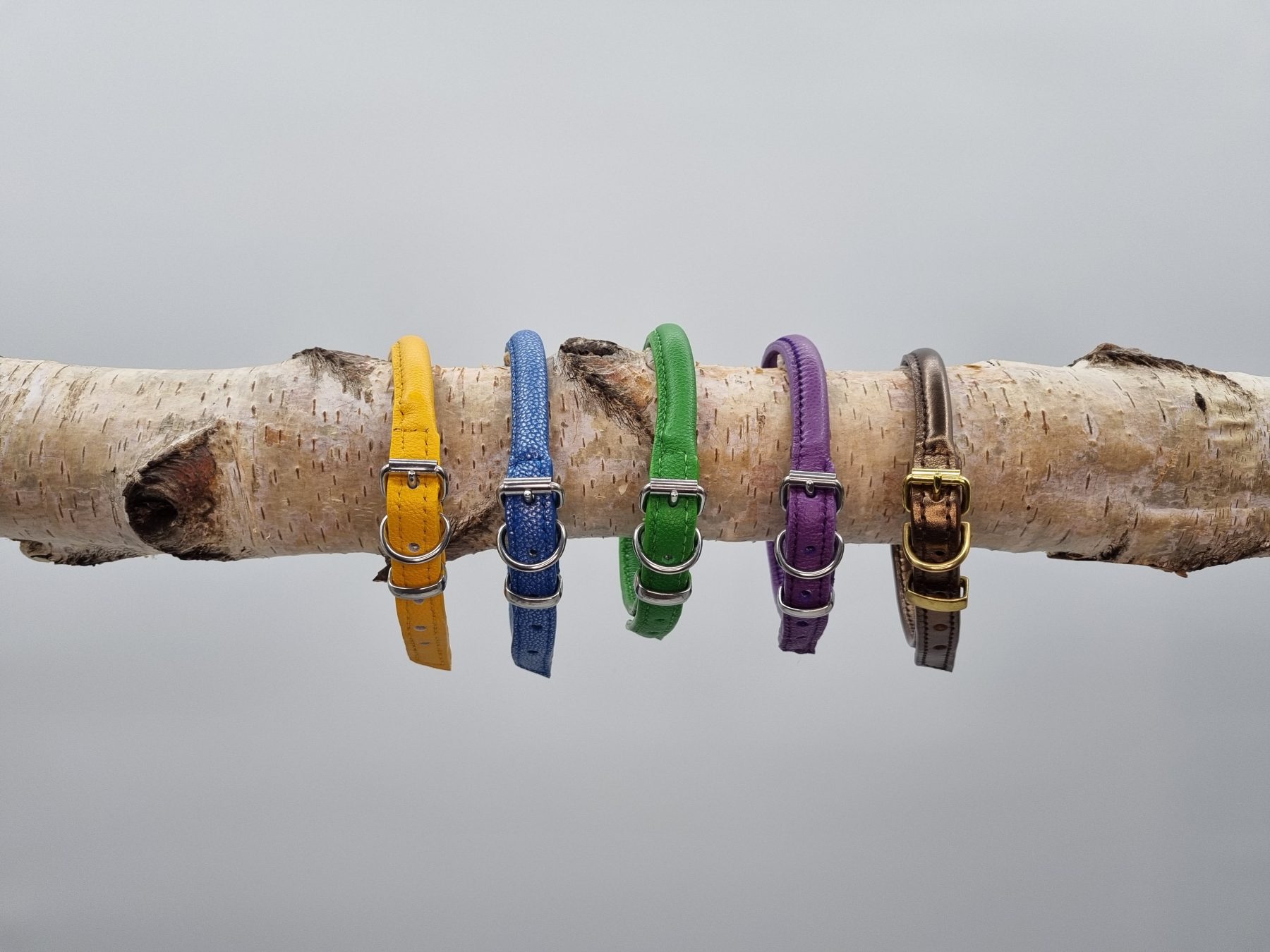 Dog Collars – Pristine Pets UK