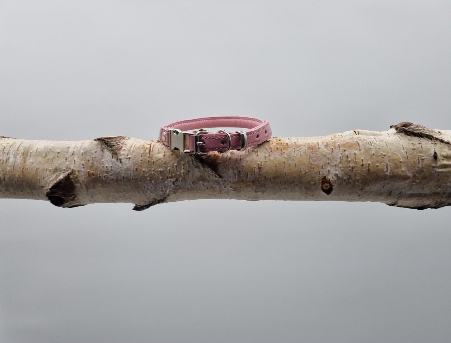 Leather Rollneck Quick Release Dog Collars - Pristine Pets UK